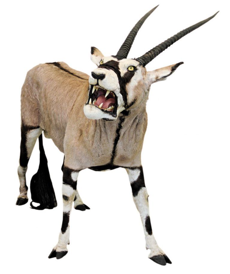 Im Montafon wird zum Halali auf die neue Kunst geblasen - Vorarlberger ...