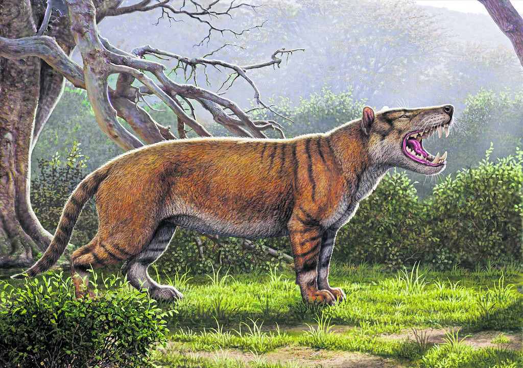 Einer der größten Raubsäuger der Erdgeschichte entdeckt - Vorarlberger ...