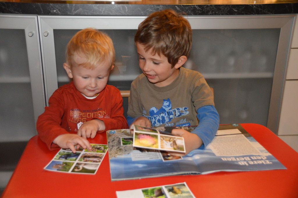 In Thüringen geht das Sammelfieber um - Vorarlberger Nachrichten | VN.at