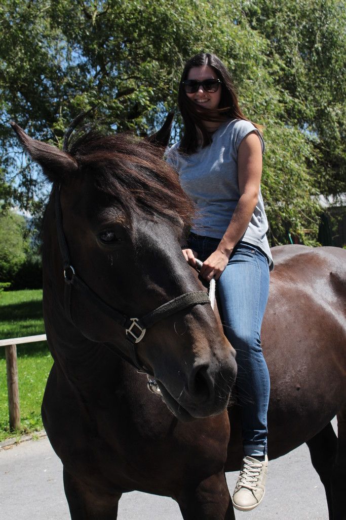 Stute Vanina gestohlen und in einen fremden Stall gesperrt ...