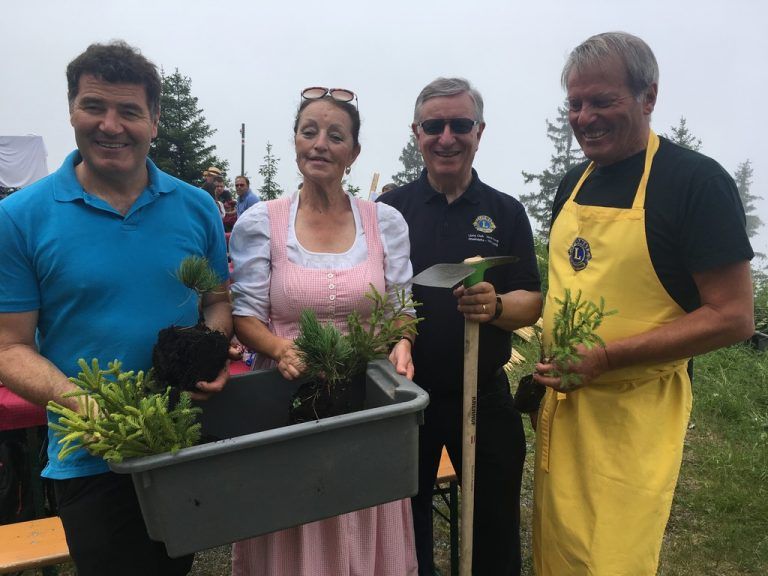 2017 kleine Bäume zum hundertsten Geburtstag - Vorarlberger Nachrichten ...