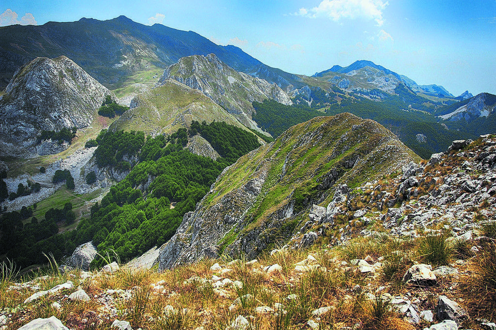 Shebenik-jabllanica-nationalpark in albanien: der vergessene wald