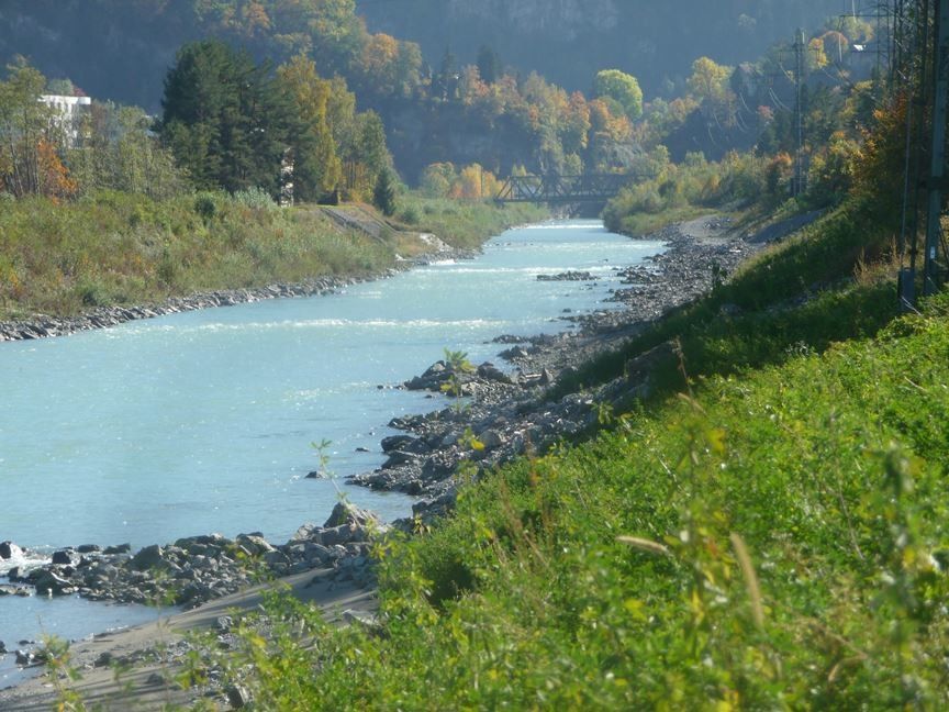 “Bewegung für die Seele” und Exkursion - Vorarlberger Nachrichten | VN.at
