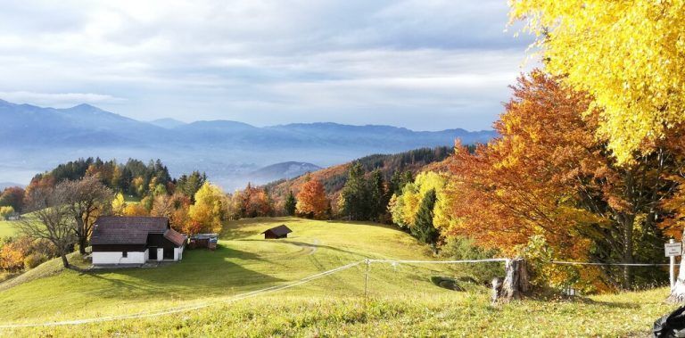 VN-Leserfotos. Ihr Bild in der VN-Heimat - Vorarlberger Nachrichten | VN.at
