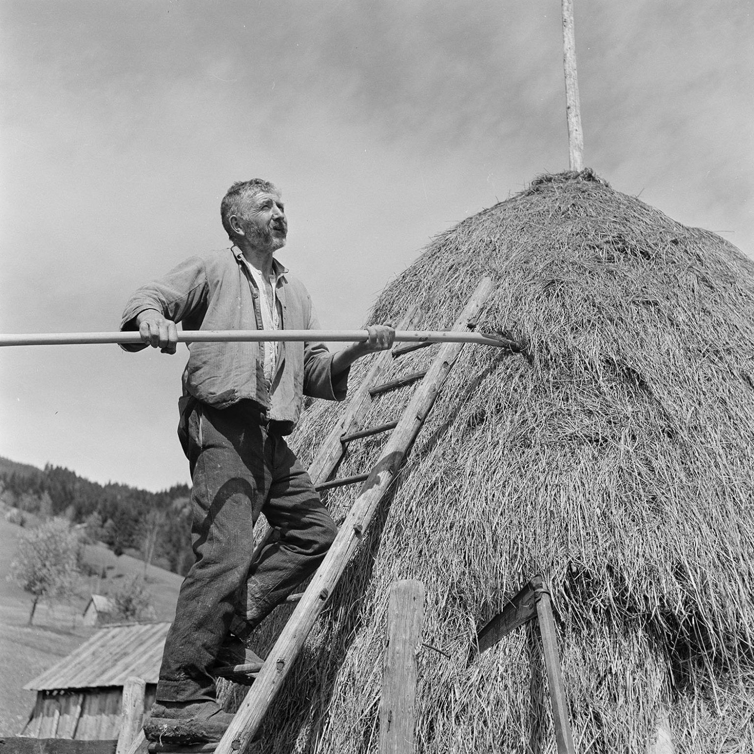 Beim Heuen in den Bergen - Vorarlberger Nachrichten | VN.at