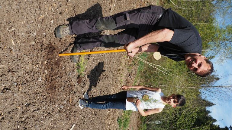 Schüler engagieren sich für klimafitten Wald - Vorarlberger Nachrichten ...