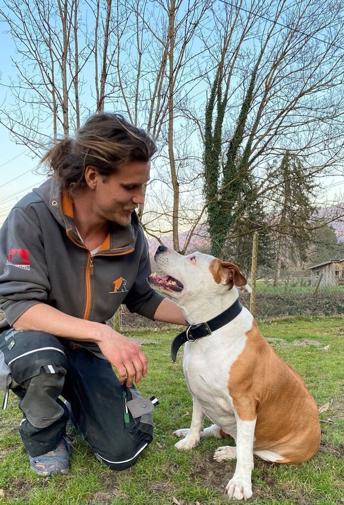 Stabilität wünschen sich auch die Tiere - Vorarlberger Nachrichten | VN.at