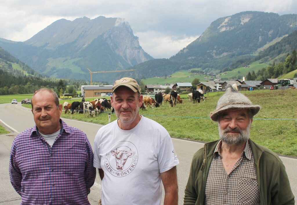 Wöster-Vieh zog noch für zwei Wochen ins Vorsäß - Vorarlberger ...