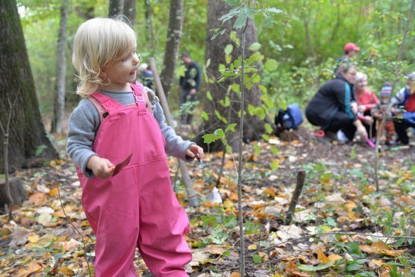 Stadt Dornbirn pflanzt „jedem Kind einen Baum“ - Vorarlberger ...