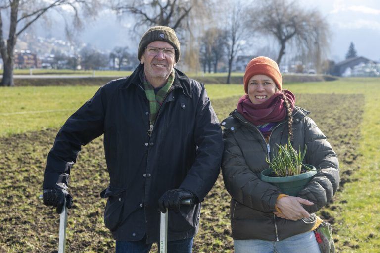 Ein Gemüsefeld zum Teilen - Vorarlberger Nachrichten | VN.at