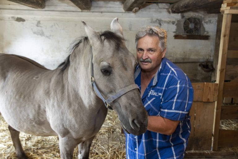 Neues Zuhause für Hanni, Tonile und Co. - Vorarlberger Nachrichten | VN.at
