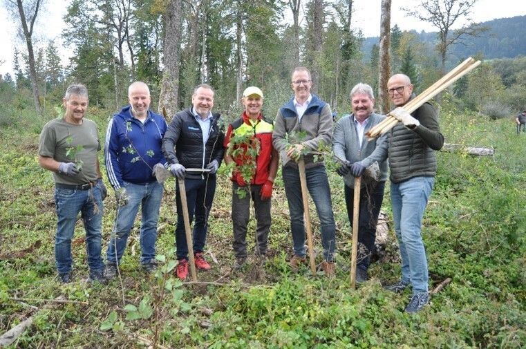 Projekt der Regio Im Walgau: 250 Bäume in Satteins gepflanzt ...