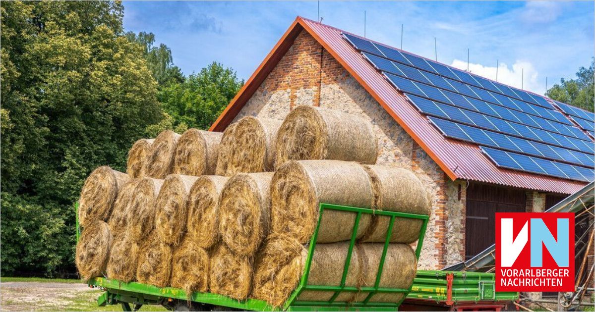Innovationswward für herausragende PV-Projekte - Vorarlberger ...