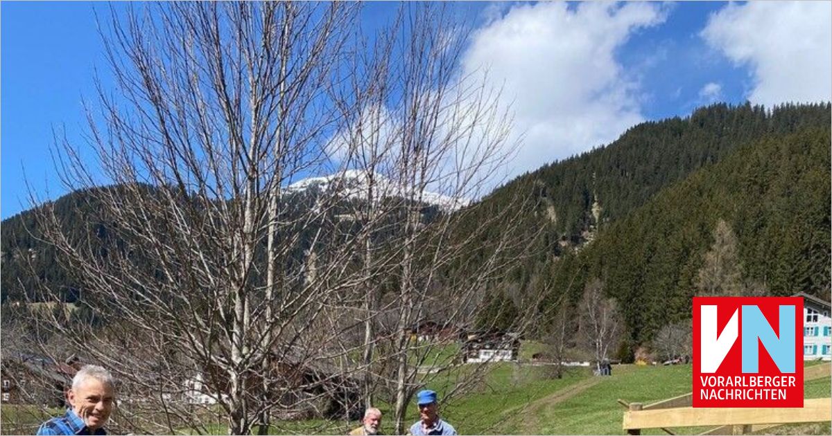 Für ein komfortableres Wandern - Vorarlberger Nachrichten | VN.at