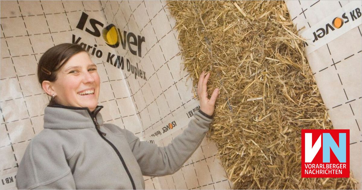 Richtig dämmen, aber wie? - Vorarlberger Nachrichten | VN.at