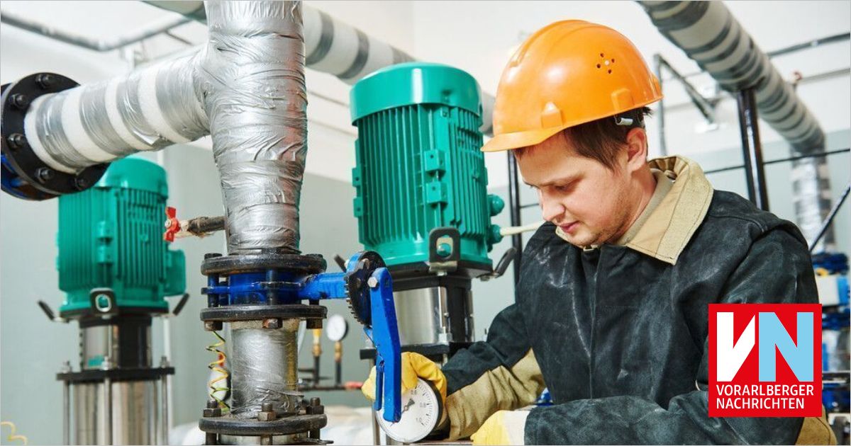 „Green Skills“ sind gefragte Kompetenzen - Vorarlberger Nachrichten | VN.at