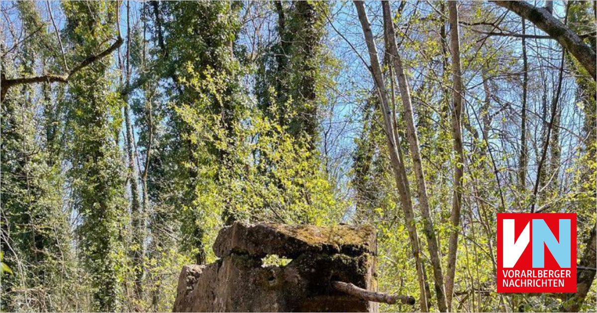 Ihr Ländle-Foto in der VN-Heimat - Vorarlberger Nachrichten | VN.at