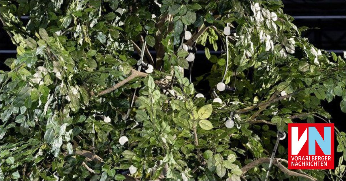 20 Uhr sal, schaan - Vorarlberger Nachrichten | VN.at