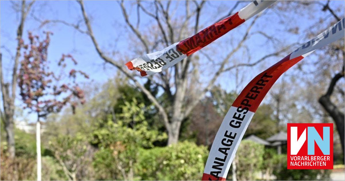 Polizei löste Corona-Protestcamp in Wiener Stadtpark auf - Vorarlberger ...