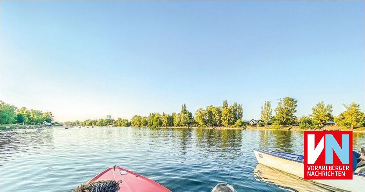 Bootsfahrt an der Alten Donau - Vorarlberger Nachrichten | VN.at
