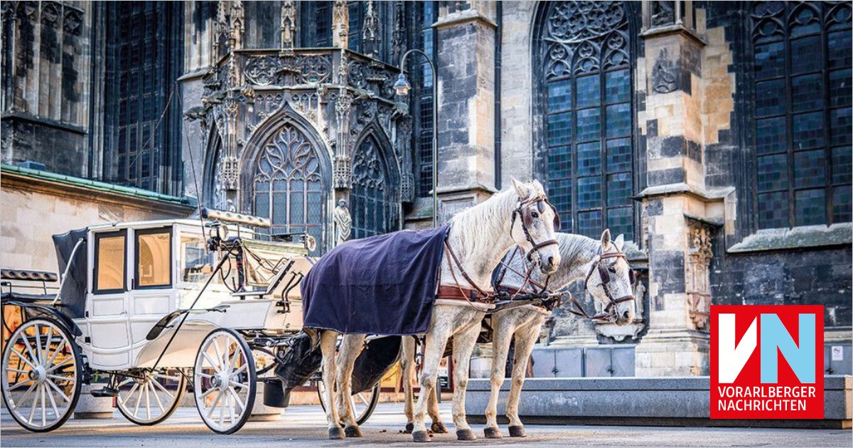 Mit der Kutsche durch die Innenstadt - Vorarlberger Nachrichten | VN.at