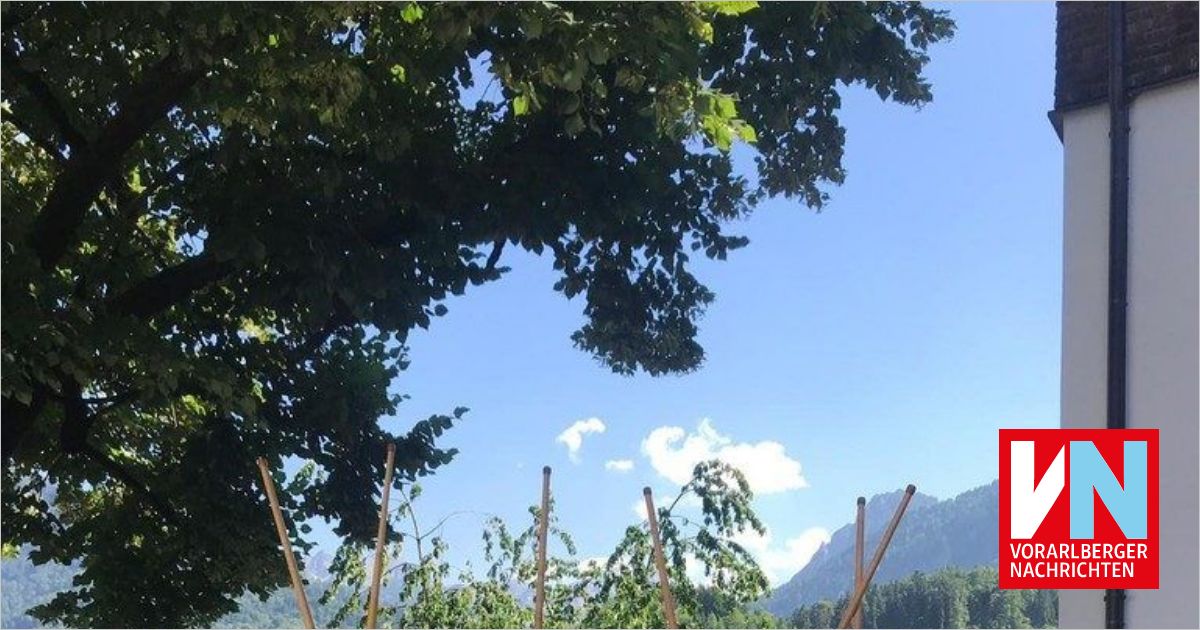 Romantischer Antrag vor malerischer Kulisse - Vorarlberger Nachrichten | VN.at