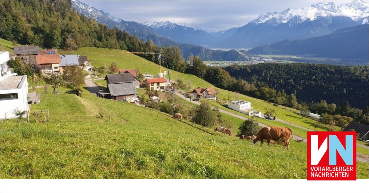 Bürgergedanken zur Zukunft von Bassig - Vorarlberger Nachrichten | VN.at