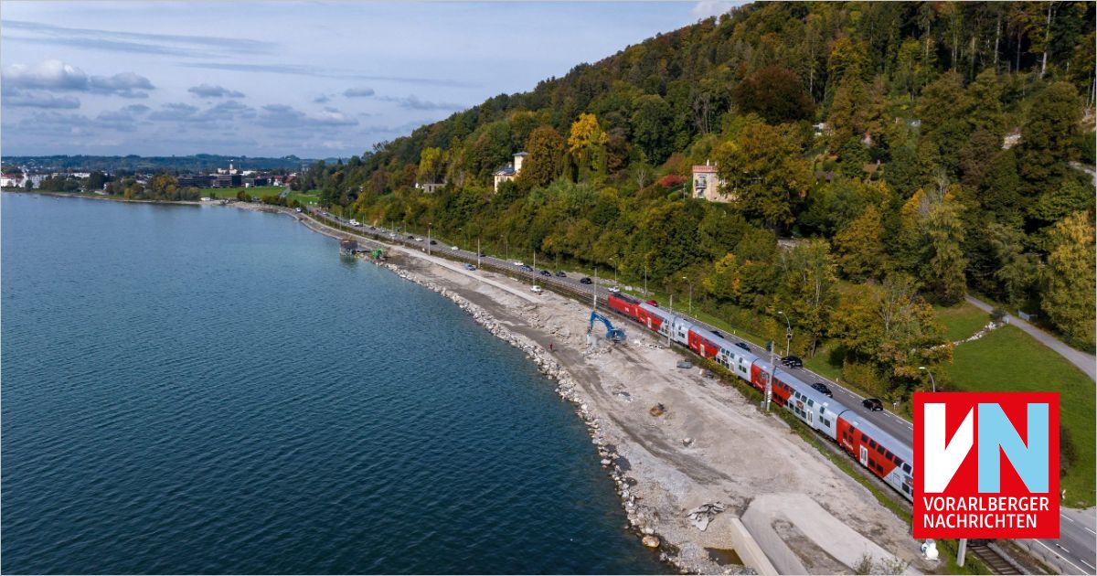 In einem Jahr muss die Entscheidung stehen - Vorarlberger Nachrichten ...