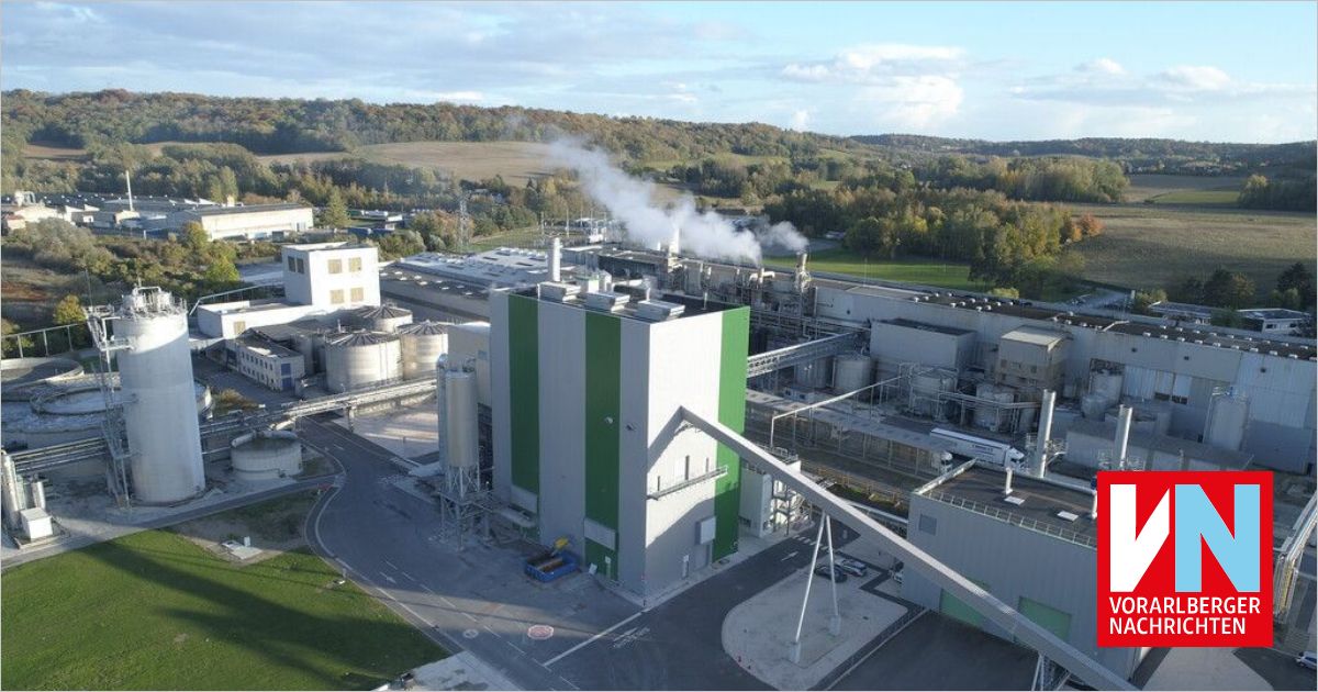 Jetzt ist es fix: Bertsch Energy meldet Insolvenz an - Vorarlberger ...