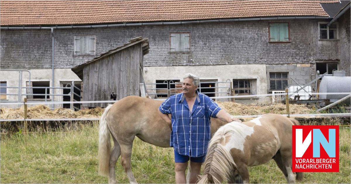 Neues Zuhause für Hanni, Tonile und Co. - Vorarlberger Nachrichten | VN.at